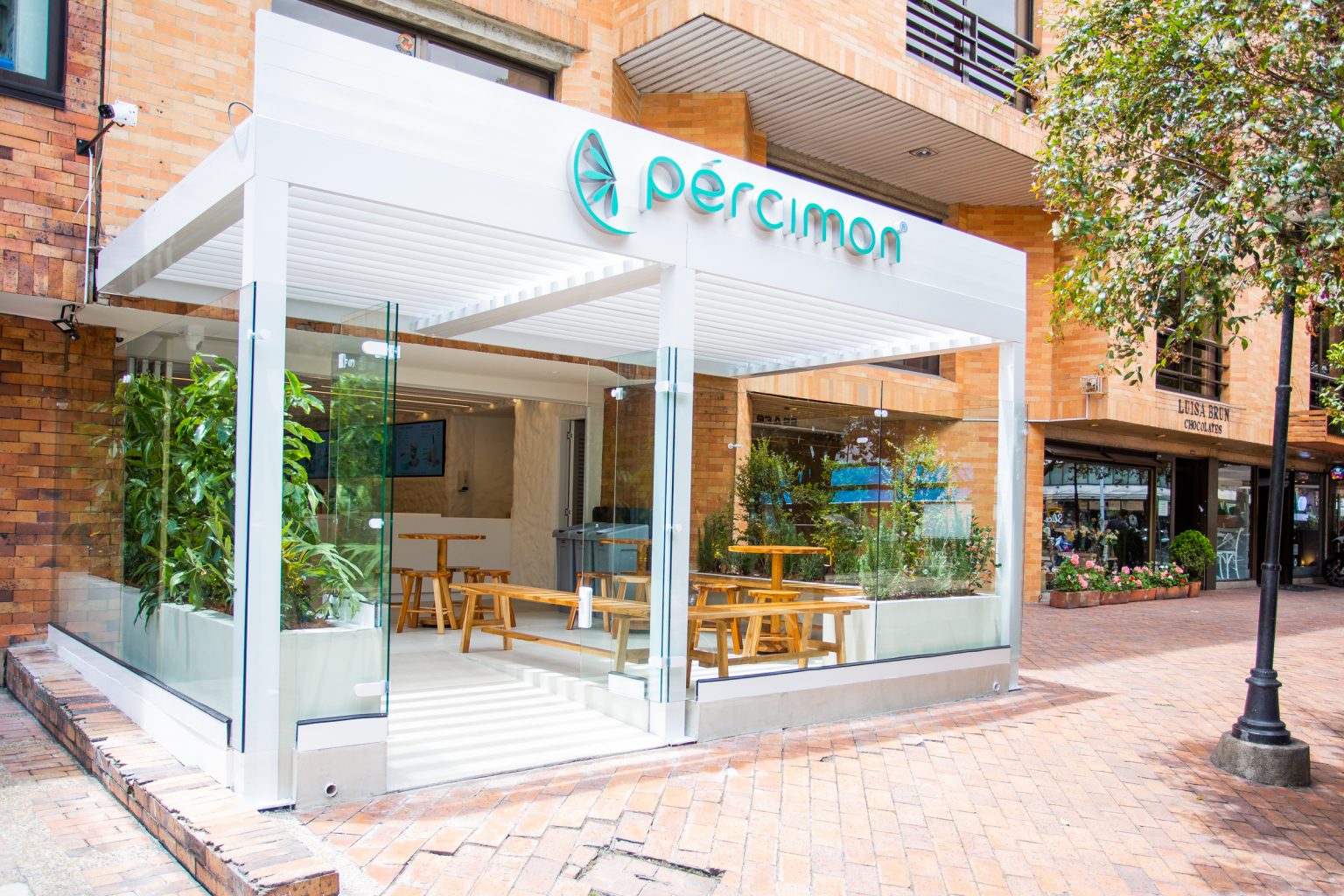 Pércimon llega a Bogotá, conócelos | 360