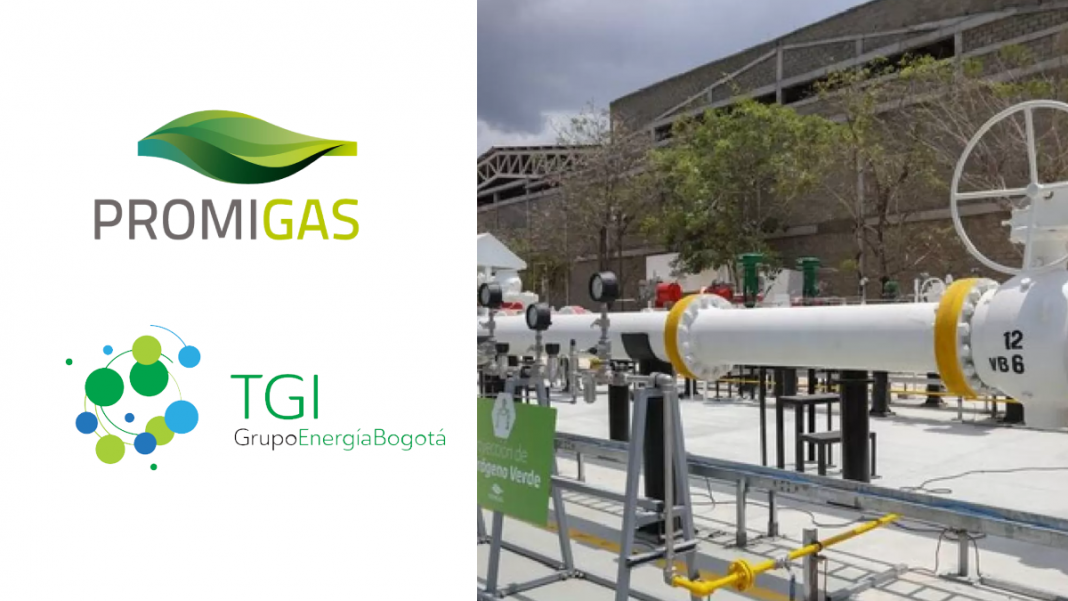 Relevante anuncio de Promigas y TGI sobre transporte de gas natural | 360