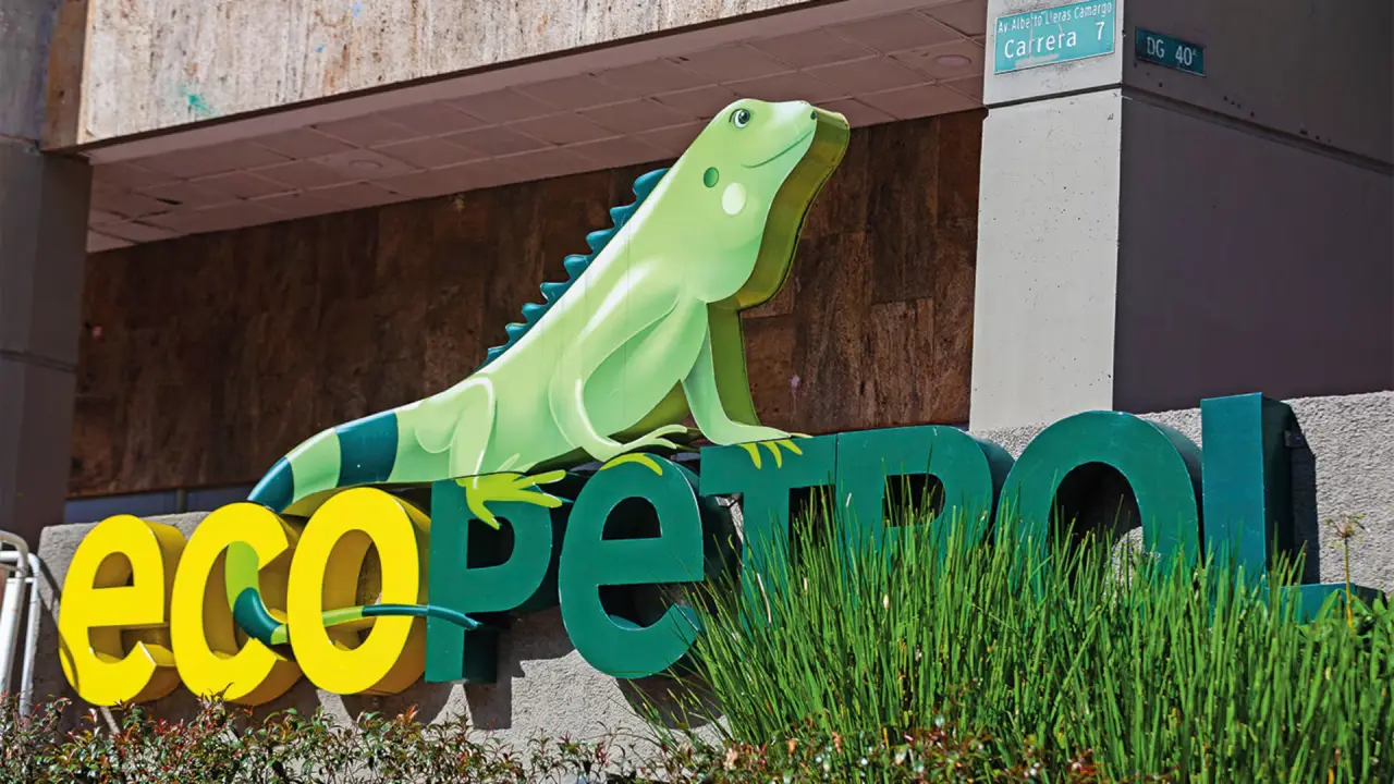 Ecopetrol mueve ficha en Brasil y busca aumentar su control sobre Brava ...